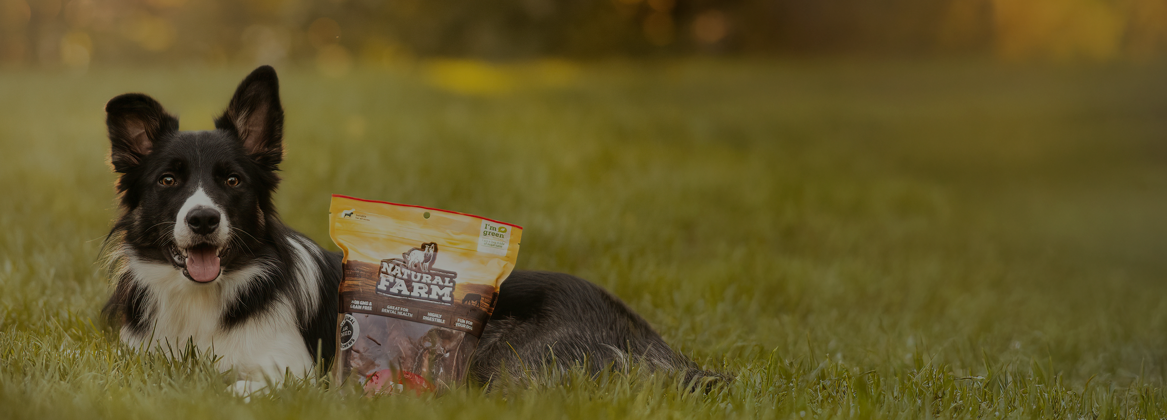 All Natural Dog Treats | Shop Natural Dog Chews, Dog Bones & More ...